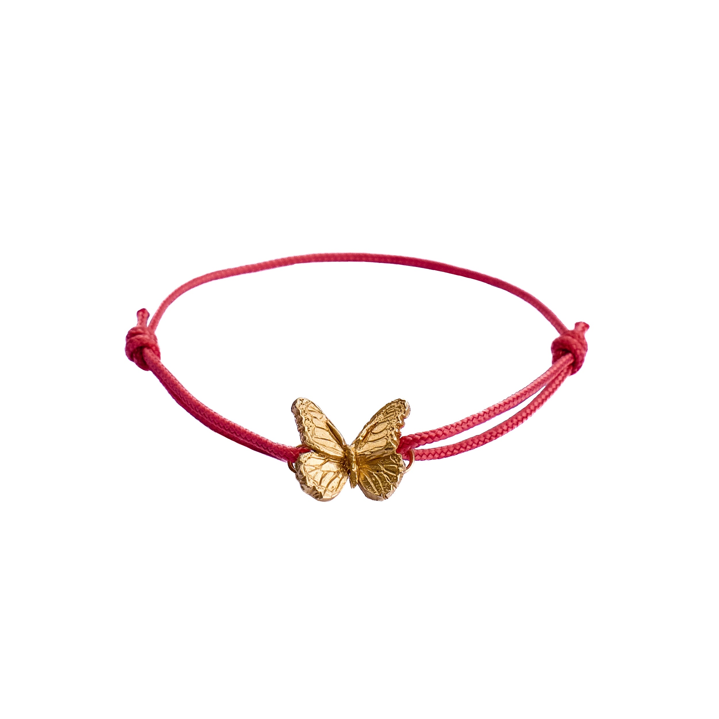 Monarch Butterfly – Gemma Roe